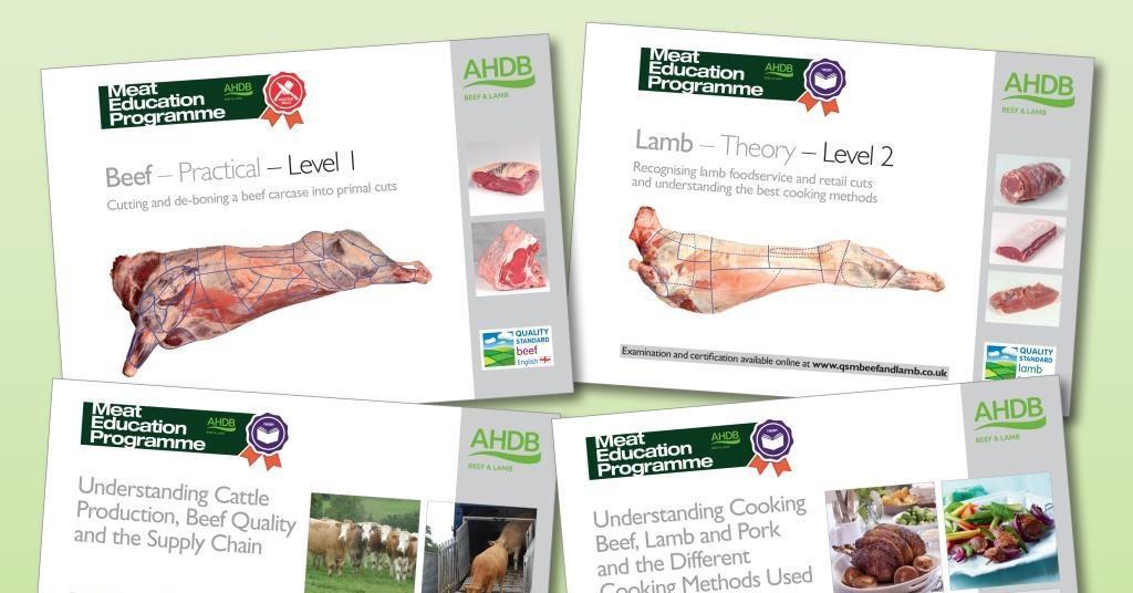 Meat Education Programme launches | News | Meat Management