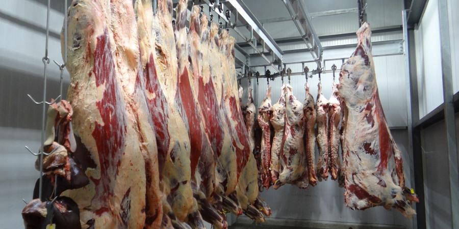 Calls for Government to help save small abattoirs | News | Meat Management