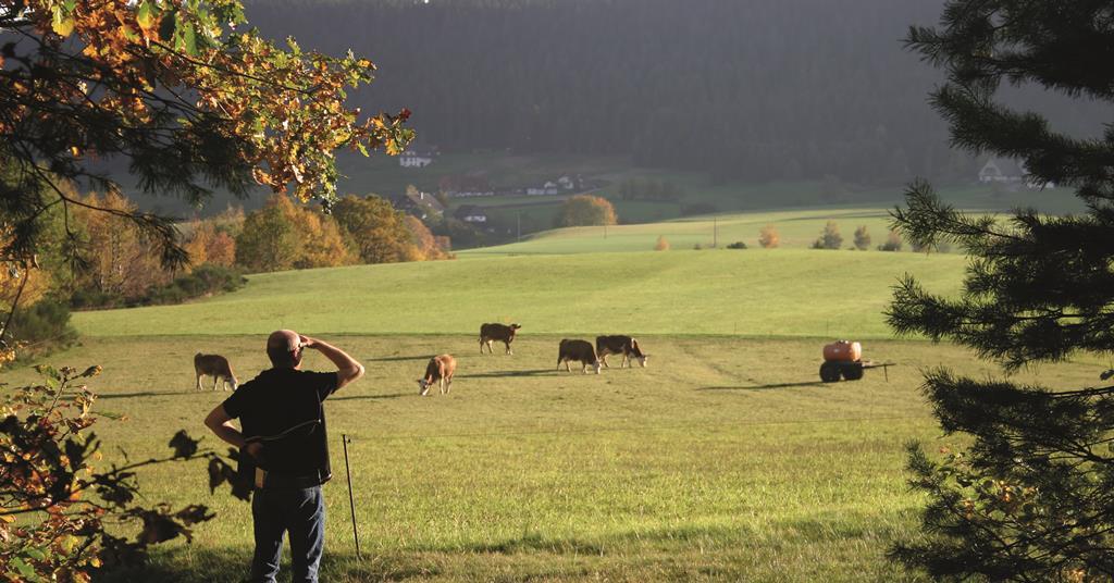 Waitrose announces net zero fund to support its British farmers | News ...