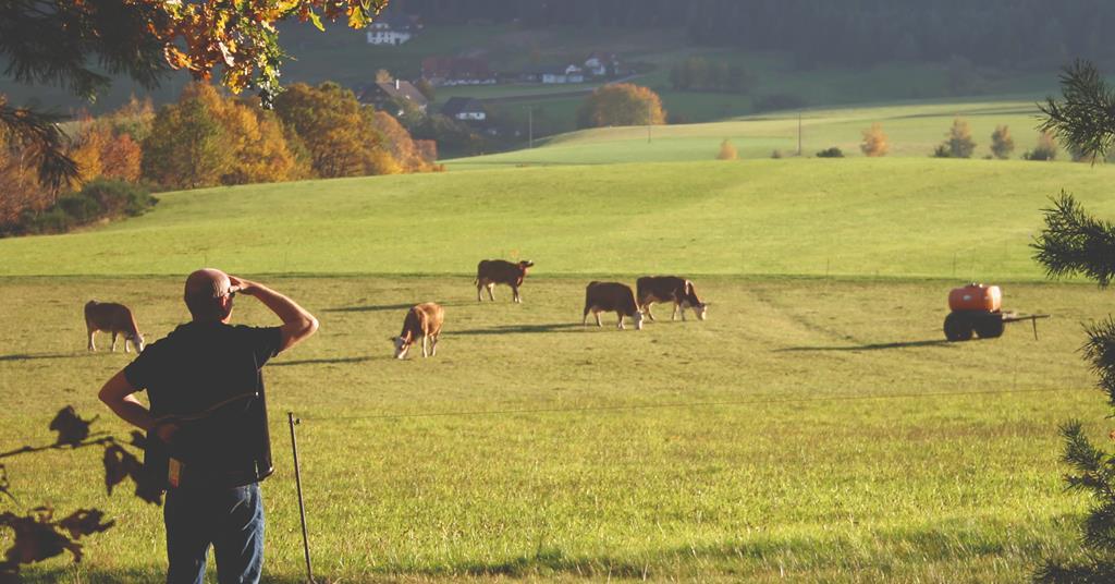 Waitrose announces net zero fund to support its British farmers | News ...
