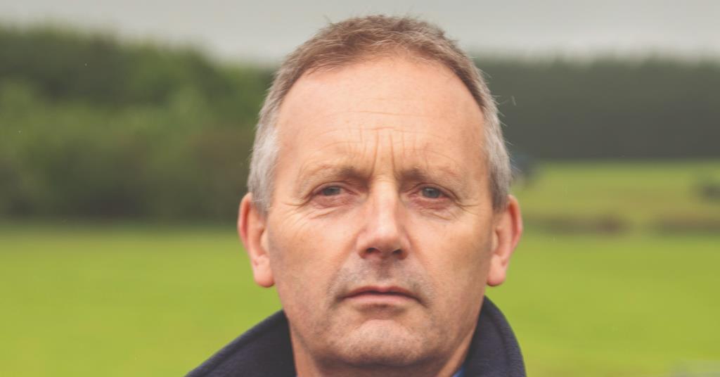 NSA calls for urgent Government action on illegal sheep imports | News ...