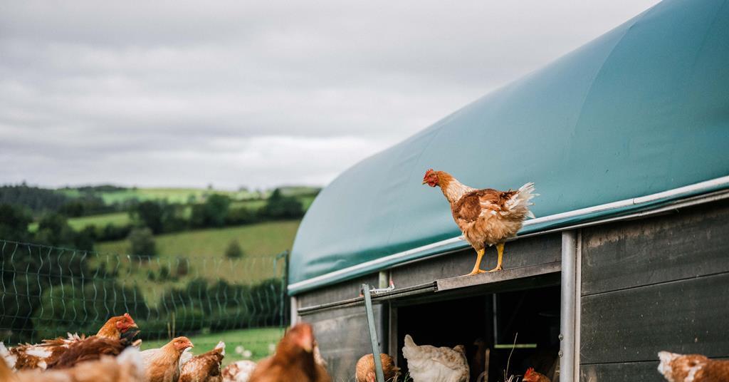 Edenmoor unveils seven-figure investment in facility | News | Meat ...