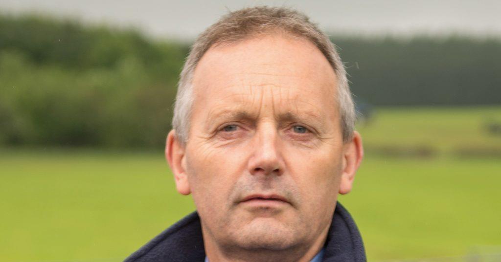 Live export ban "reiterates commitment to animal welfare," says NSA ...