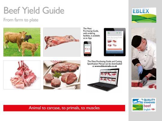 Help for supply chain to yield extra value from the beef carcase | News ...