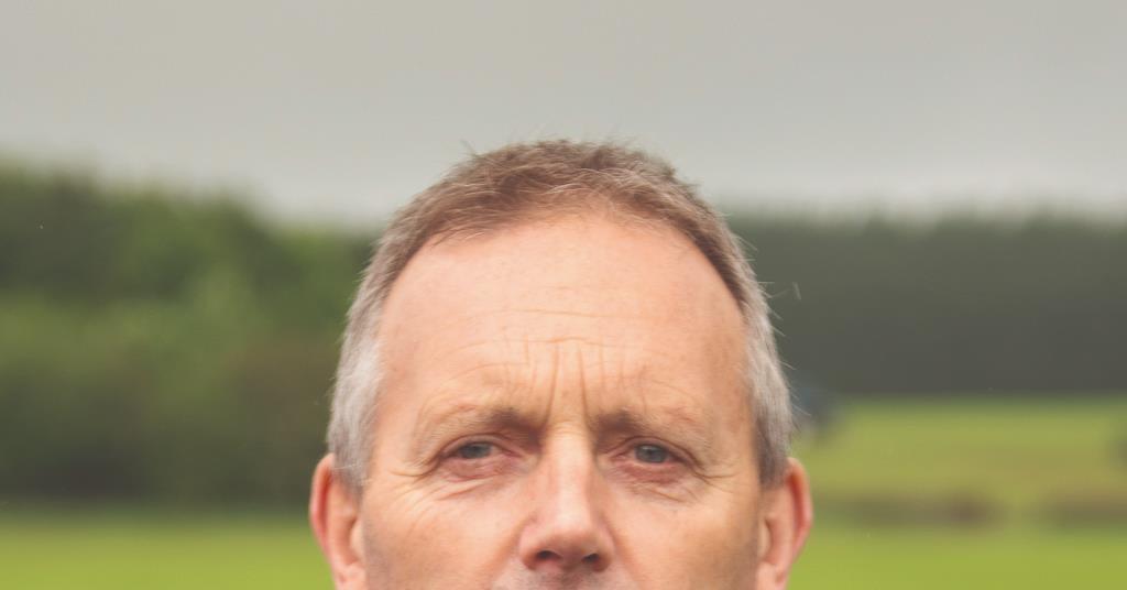 Higher prices and export wins for sheep meat market | Reports | Meat ...