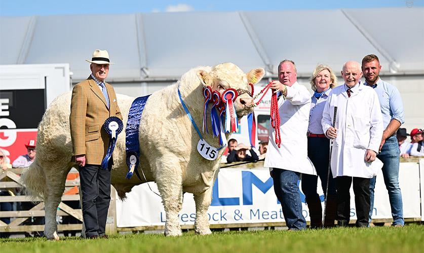 Balmyle Sandy takes Beef Champion of Champions title at Balmoral Show ...