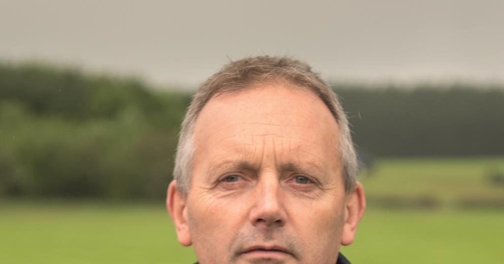 NSA welcomes Welsh Government SFS progress | News | Meat Management