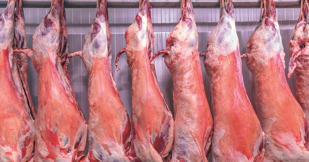 MPs discuss support for small abattoirs in Westminster Hall debate ...