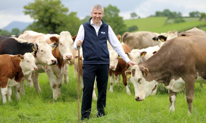 Progress on Irish Grass Fed Beef PGI welcomed by LMC | News | Meat ...